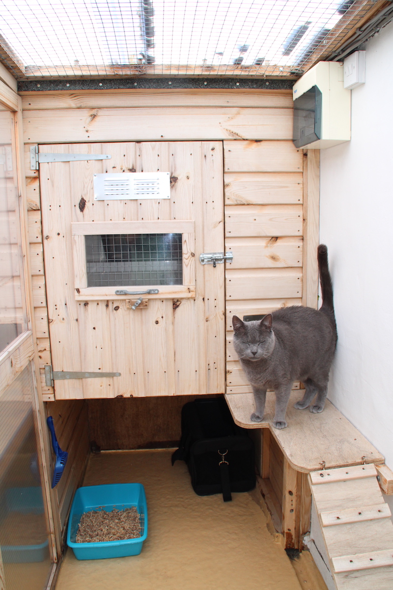 About Appleby Country Cattery