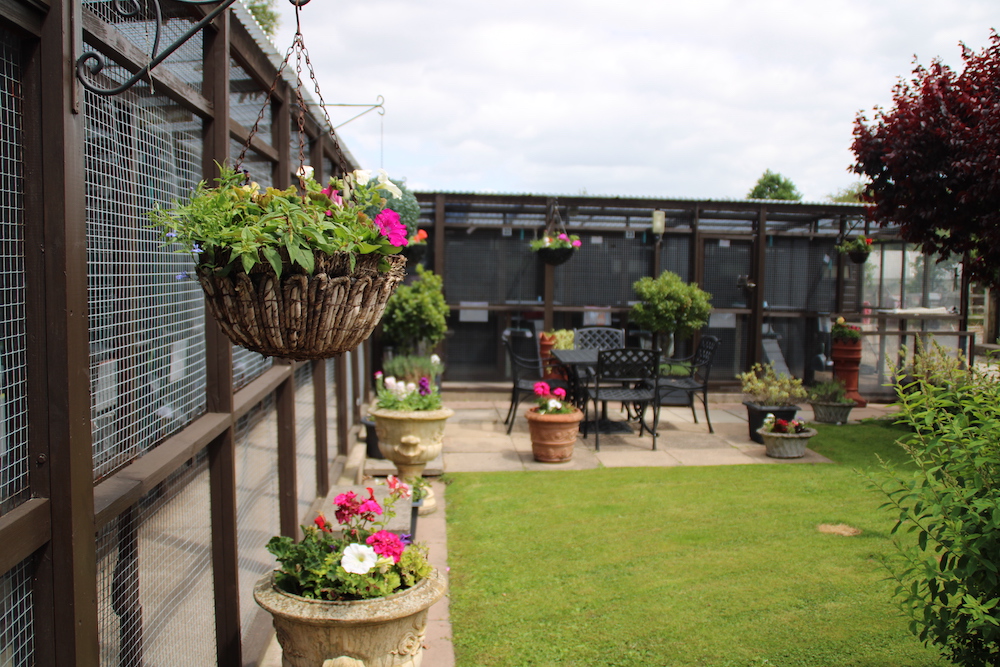 About Appleby Country Cattery