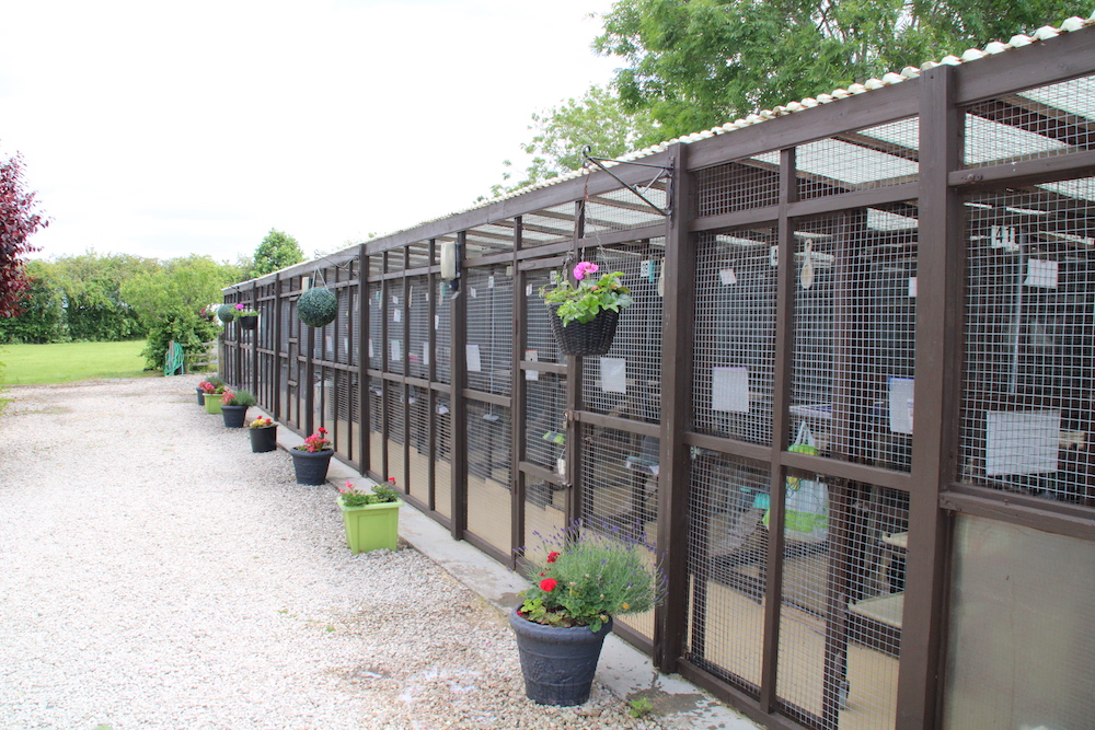 About Appleby Country Cattery